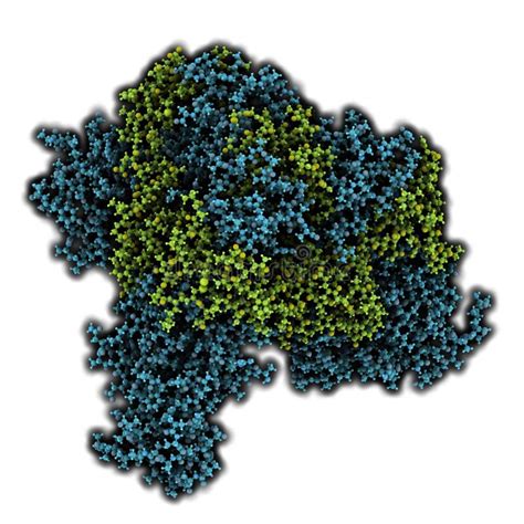 Ebola Virus Glycoprotein Gp Molecular Structure Occurs As Spikes On Ebola Virus Surface