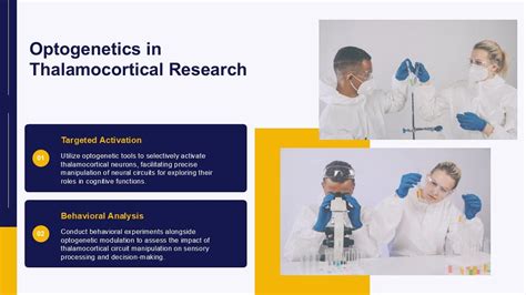 Optogenetics In Thalamocortical Research Ppt Sample St Ai Ss Ppt Example