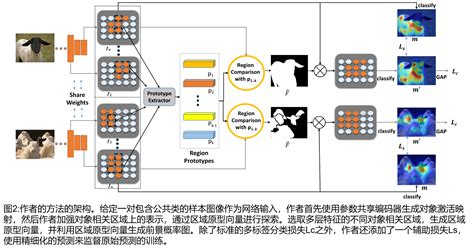 基于区域原型网络的跨图像区域挖掘弱监督分割mcibi Soft Mining Contextual Information