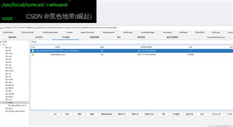 工具哥斯拉的使用 云社区 华为云