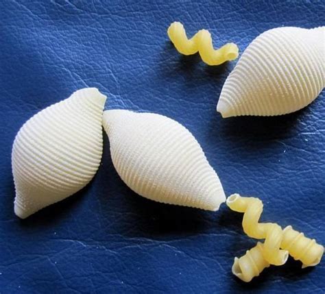 Թիթեռնիկ մակարոններից Հմուտ ձեռքեր Փոքրիկ Am