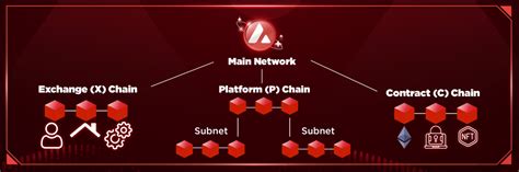Avalanche Subnets The Next Growth Engine In Crypto
