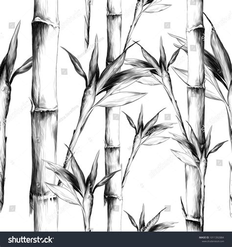 Easy Bamboo Drawing