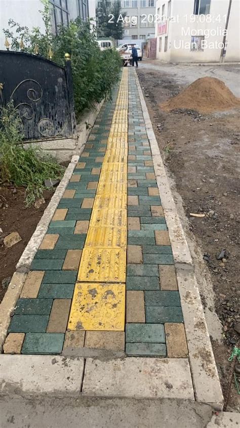 Арьс ширний салбарын залуучуудын санаачлагаар Монголын арьс ширний