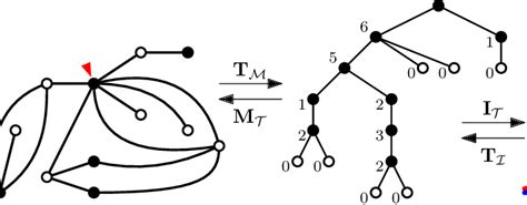 Our Bijections Between Bipartite Planar Maps Degree Trees And New Download Scientific Diagram