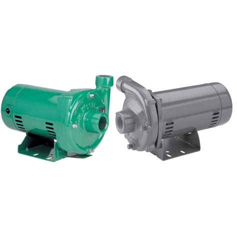 Myers Ctj07b 34 Hp Cast Iron Centrifugal Pump 34 Hp Single Phase Dade Pump And Supply