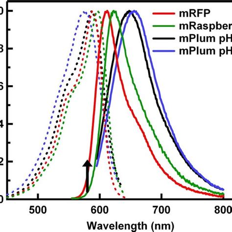 Steady State Fluorescence Spectra Normalized Steady State Excitation