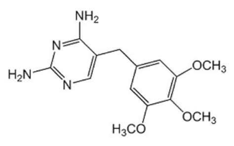 Trimethoprim Api Powder At Best Price In Surat Id 2849505255891