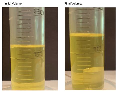 Solved Part Two Density By Displacement 24 Points One Chegg Com