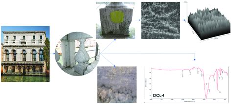 Graphical Representation Of Morphological Measurement Methodology