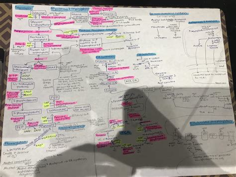 Metabolic Pathways Mcat Reddit