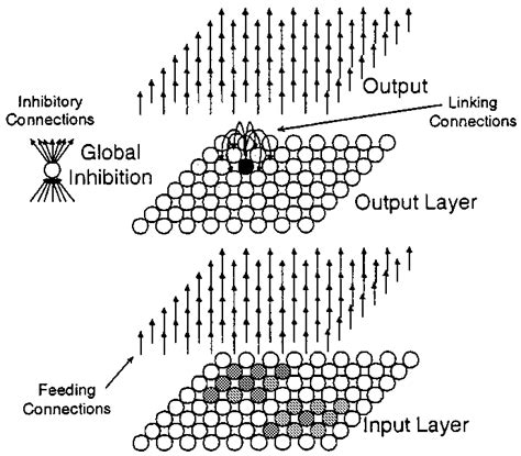 A Neuron Model B Network Topology [11] Download Scientific Diagram