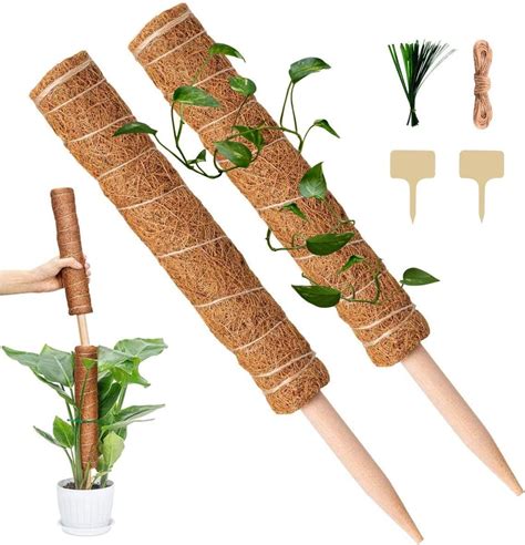 Amazon Masinca DIY園芸支柱 直線タイプ モンステラ支柱 40cm 2本セット 園芸支柱 モスポール 天然ココナッツ製