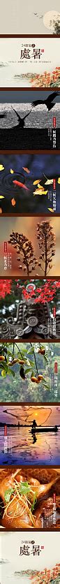 花瓣