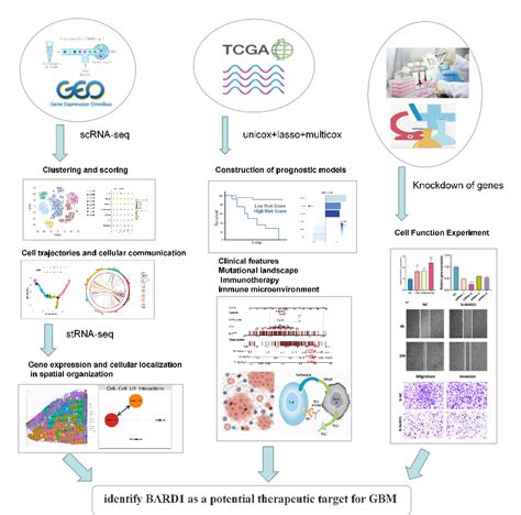 Figure 1 From Combining Single Cell Sequencing And Spatial