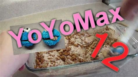 Intro Yoyomax12 Longer Version Re Upload Youtube