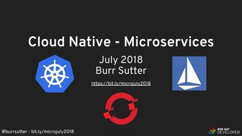 Cloud Native Microservices Pdf Cloud Computing Internet