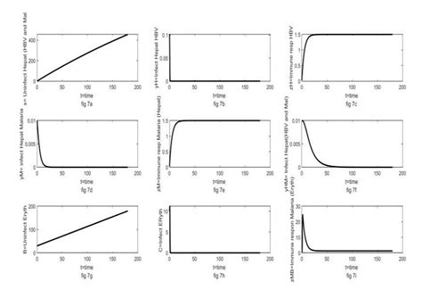 A I Simulation Of Hbv Malaria Co Infection Model Of System 23