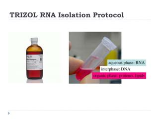 RNA Isolation PPTX