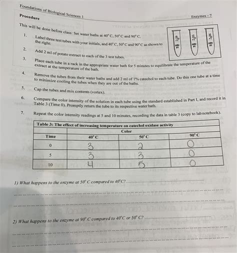 Solved Part 3 The Effect Of Temperature On Enzyme Activity