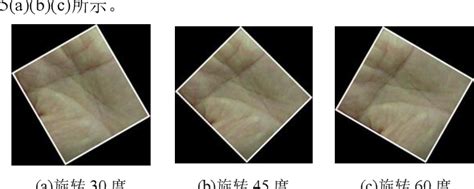 Figure 5 From Color Palmprint Feature Recognition Algorithm Based On Stein Weiss Function