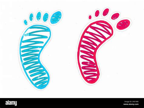 Two Foot Feet Isolated On White Background The Drawing Is A Thin Black
