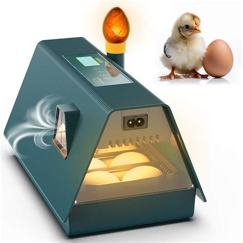 Incubators For Hatching Eggs Ideal All Ages Egg Incubator With