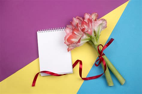 봄 꽃과 노트북의 상단 보기 꽃다발 플랫 레이 스타일의 테이블 탑 뷰에 빈 메모장 및 분홍색 꽃의 꽃다발을 엽 니 여성 데스크 탑 0명에 대한 스톡 사진 및 기타 이미지