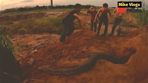 Spiderman Vs Python Mike Vlogs Youtube