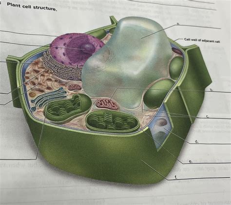 Biology Chapters 3 And 4 Diagram Quizlet