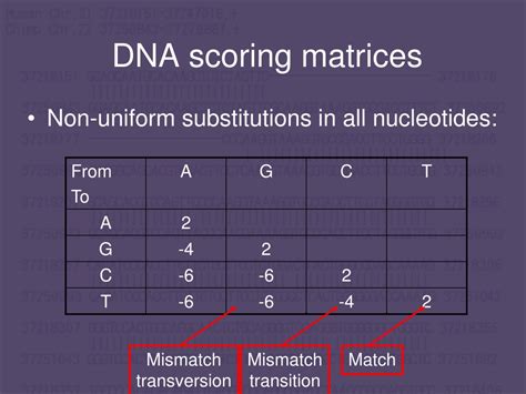 Ppt Pairwise Sequence Alignment For Bioinformatics Applications