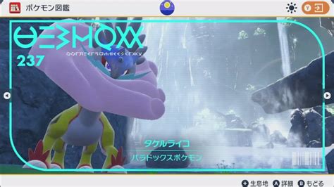 タケルライコが勝ち馬らしいよ。キリンだけどね1時間くらいランクバトル ！！！【ポケモンsvダブルバトル】 Youtube