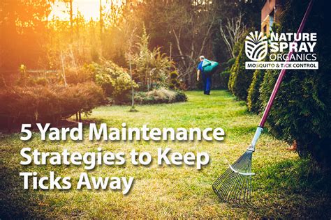 5 Yard Maintenance Strategies To Keep Ticks Away Nature Spray Organics