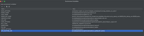 Doris Be 开发调试环境 Clion Apache Doris