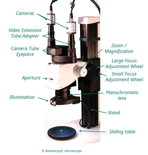 Stereoscopic Microscope Stereoscopic Microscope