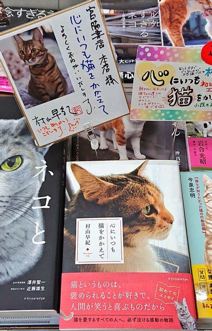 宮脇書店本店（年中無休・営業時間9時~22時） 『心にいつも猫をかかえて 宮脇書店 さんのマンガ ツイコミ 仮