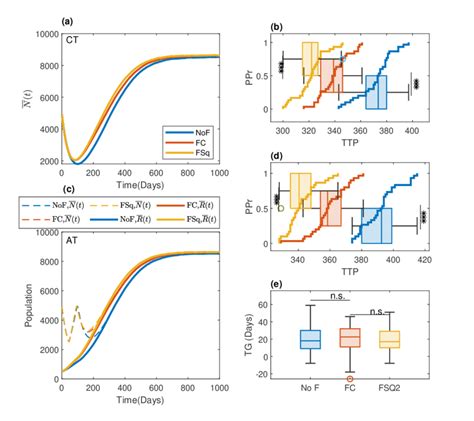 Effect Of Fibroblast Location On Tumor Progression And The Benefit Of