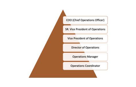 10 Operations Job Titles To Pursue Career Support