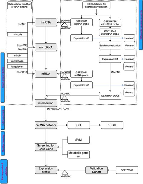Flowchart Of Our Bioinformatic Analysis The Logical Steps 1
