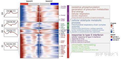 Monocle2拟时序分析 笔记 知乎 Monocle2拟时序分析 笔记 知乎