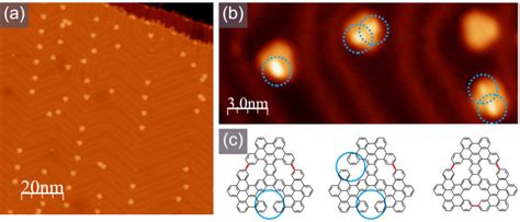 Microscopic Visualization Of Porous Nanographenes Synthesized Through A