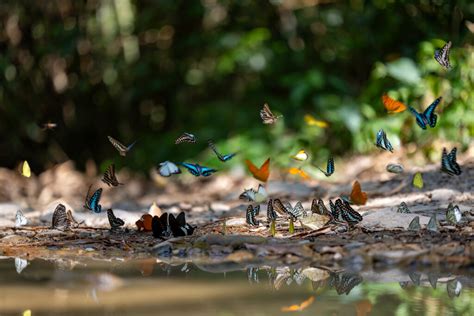 Asset Optimisation And Commercial Advisory Buro Happold Asset Optimisation And Commercial Advisory Buro Happold