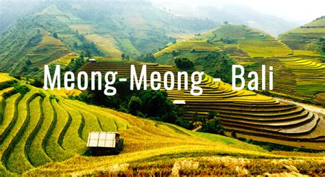 Lirik Lagu Meyong Meyong Bali Arti Dan Makna Informasi Lengkap