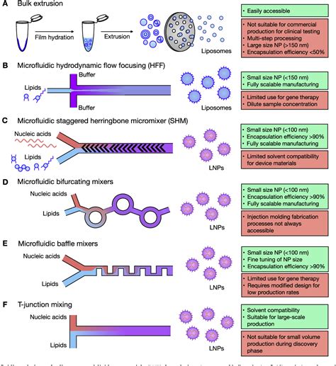 Design Of Functional Nanoparticles By Microfluidic Platforms As🏉 Tente A Sorte Com O Jogo Da