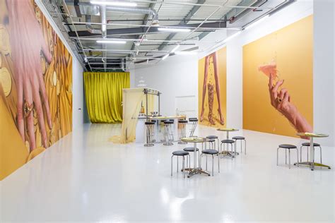 Zoe Williams En Liquide Le Parvis Scène Nationale Tarbes Pyrénées