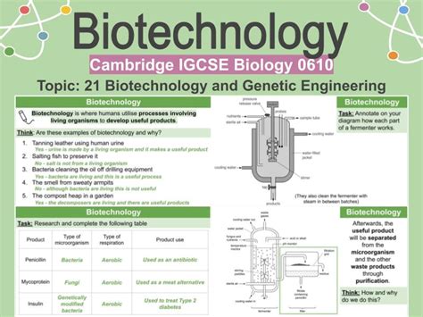 Biotechnology Examples And Fermentation Teaching Resources