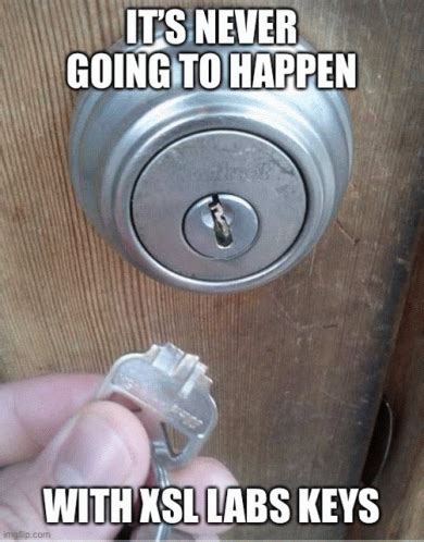 Xsl Labs Xsl Meme Xsl Labs Xsl Syl Discover Share GIFs