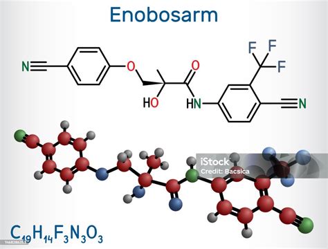 에노보삼 오스타린 분자 그것은 단백 동화 작용 선택적 안드로겐 수용체 조절제 Sarm을 가진 비 스테로이드 성제입니다 구조 화학식 분자 모델 0명에 대한 스톡 벡터 아트 및