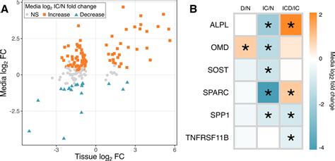 Effects Of Disease On Cartilage Tissue And Biomarkers Of Bone Download Scientific Diagram