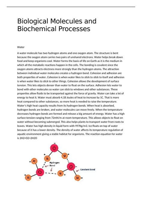 Btec Level 3 Applied Science Unit 10 Aim A Distinction Level Unit 10 Biological Molecules